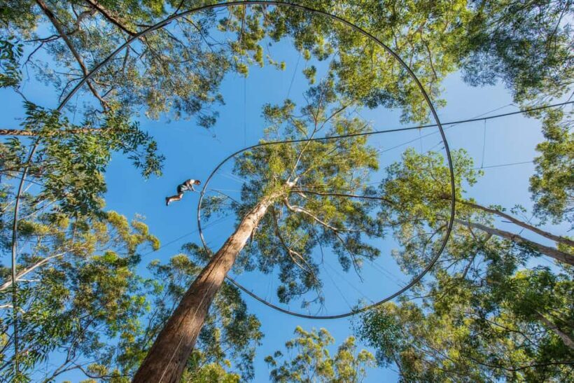 Ourimbah: Central Coast Zipcoaster - What to Expect When You Visit the Ourimbah Zipcoaster