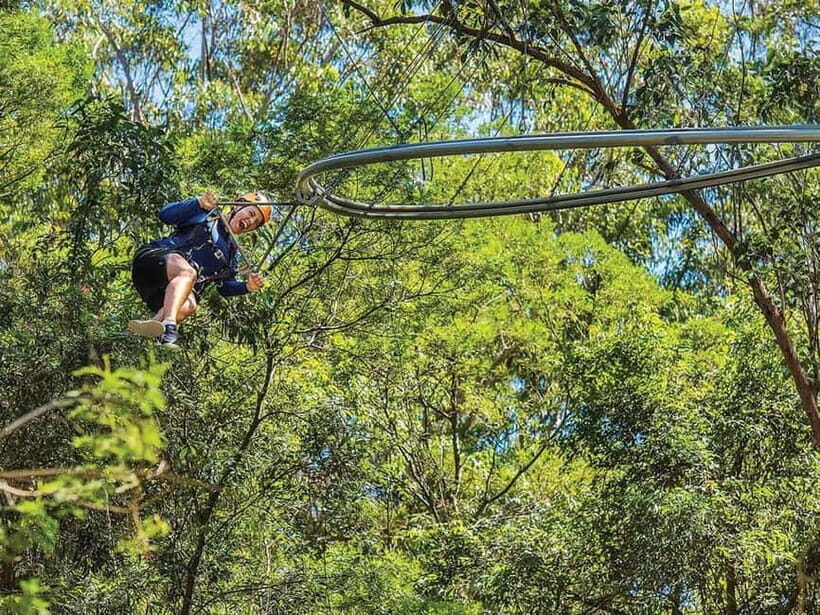 Ourimbah: Central Coast Zipcoaster - The Experience Provider and Other Nearby Adventures