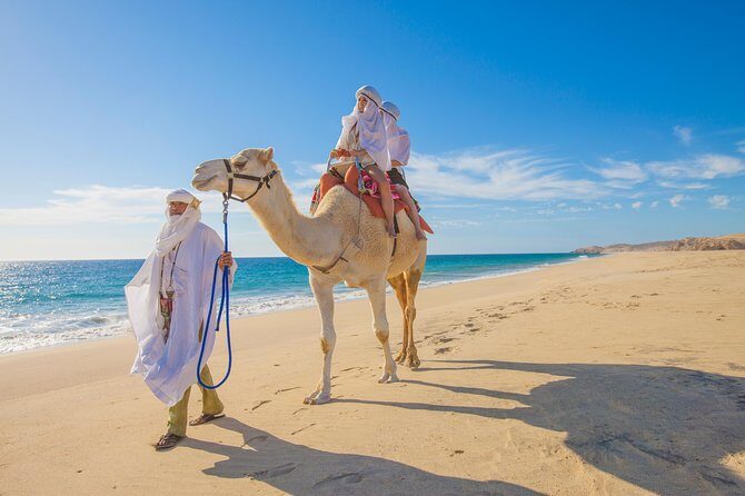 Outback Camel Ride - FAQ