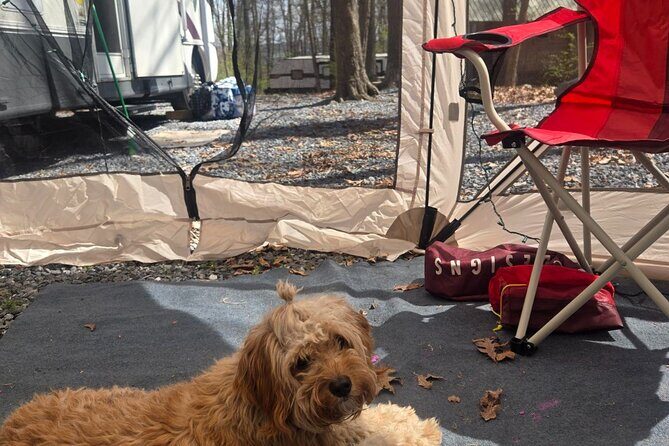 Outdoor Cooking Class Activity with Customizable Recipes - Frequently Asked Questions