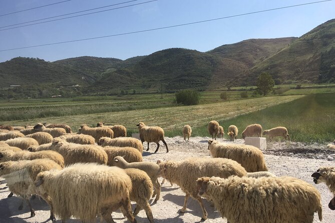 Outdoor Experience in Amantia Archeological Park & Brataj Bidge - Who Will Enjoy This Tour?