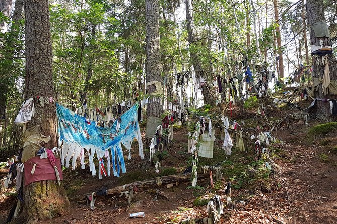 Outlander Shore Trip from Invergordon Cruise Terminal - Final Thoughts