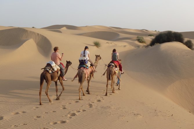 Over Night camel safari non touristic sand dune - Authenticity and Authentic Experiences