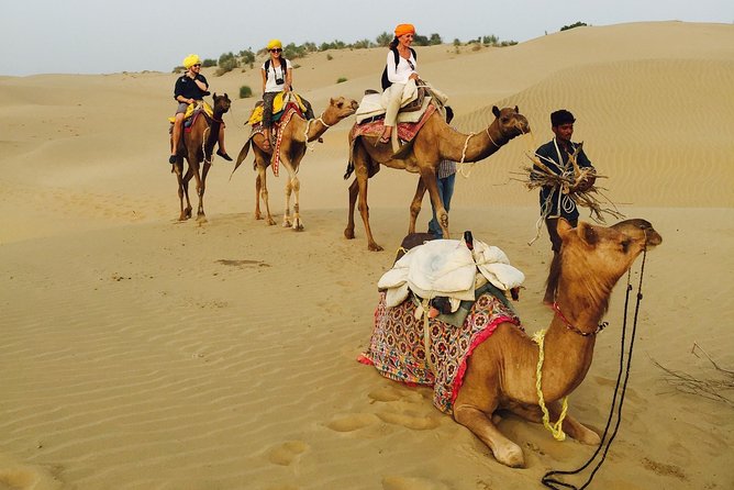 Over Night camel safari non touristic sand dune - Cost and Value