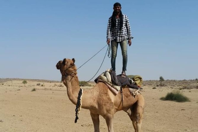 Over Nights Camel Safari Non Touristic 02:30PM - Key Points