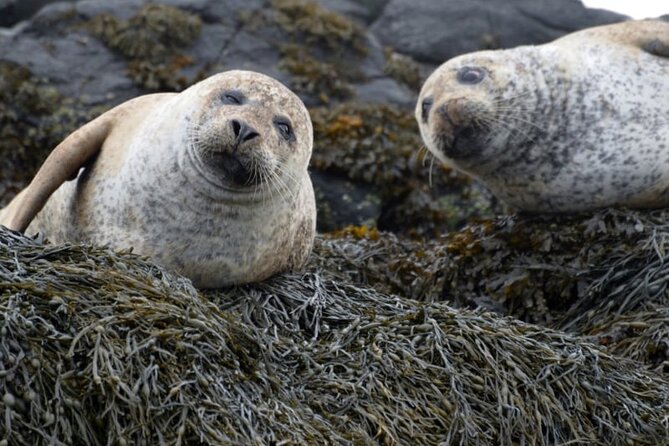 Over The Sea to (secret) Skye - Authentic Local Flavors and the Last Legs of the Journey
