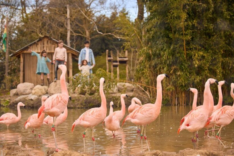 Overloon: ZooParc Entrance Ticket - A Deep Dive into the ZooParc Overloon Experience