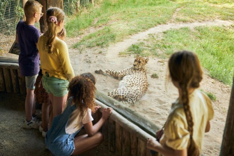 Overloon: ZooParc Entrance Ticket - FAQ