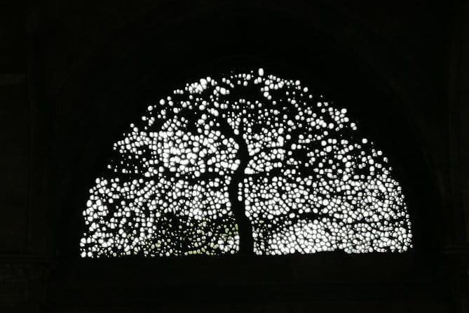 Overnight Agra Tour From Ahmedabad with Return Flights - The Sum Up