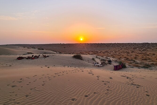 Overnight Camel Safari: Non-Touristic, Sleep Under the Stars! - What the Tour Offers: A Deep Dive