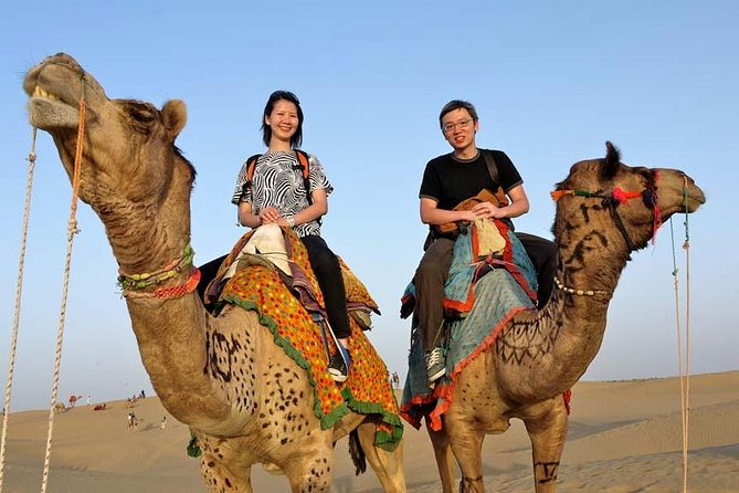 Overnight camel safari (non_touristic) - Introduction: Experiencing the Quiet Charm of Rajasthan’s Thar Desert
