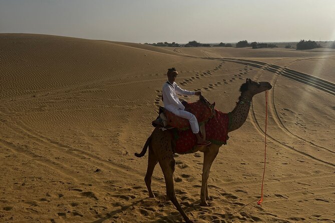 Overnight camel safari (non_touristic) - Understanding the Experience: What Travelers Can Expect