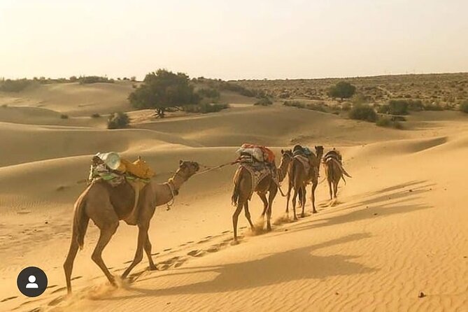 Overnight camel safari (non_touristic) - The Value of the Highlights