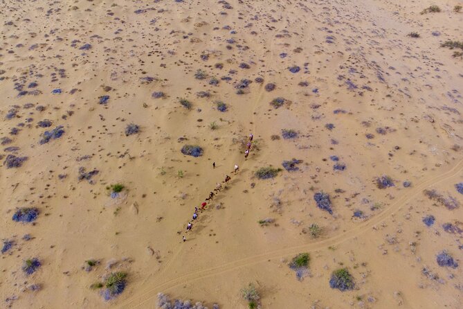 Overnight Camel Safari - Sleeping under the Stars - An Authentic Glimpse into Rajasthan’s Desert Life