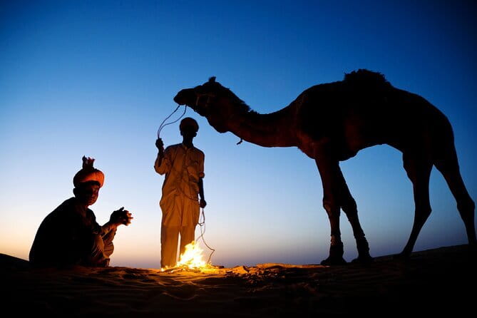 Overnight Camel Safari Tour - What the Tour Offers: An In-Depth Look