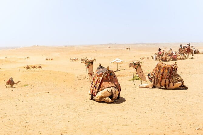 Overnight Camel Safari Tour - Authenticity and what Travelers Say