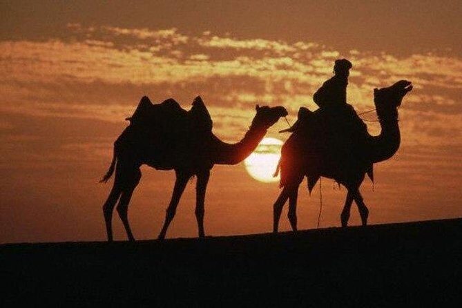 Overnight Camping With Camel Safari In Jaisalmer - Key Points