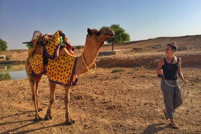 Overnight Camping With Camel Safari In Jaisalmer - The Cultural and Scenic Highlights