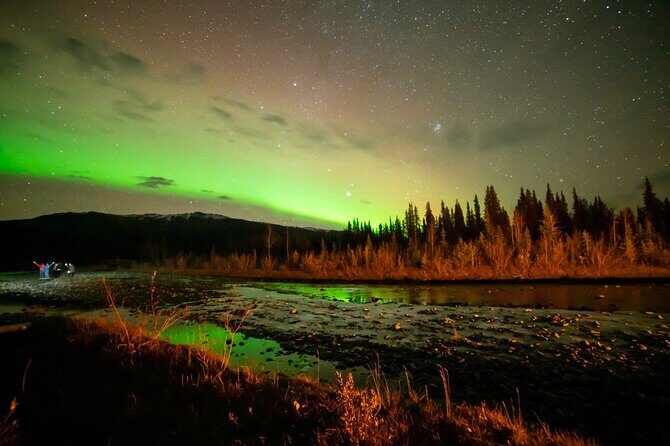 Overnight Denali National Park plus Aurora Chase Tour - Final Thoughts