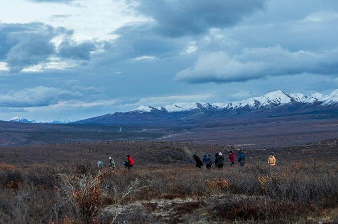 Overnight Denali National Park plus Aurora Chase Tour - Frequently Asked Questions