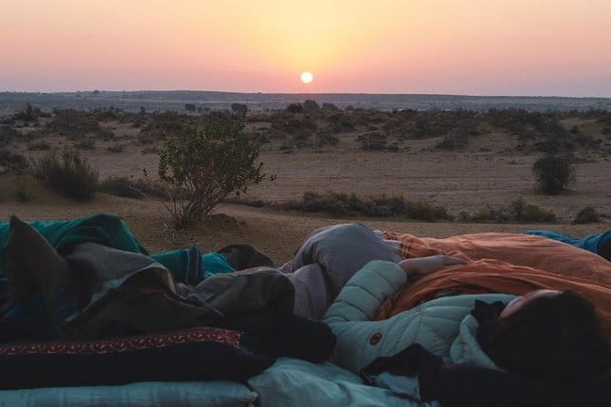 Overnight Desert Adventure Safari - Morning Departure - Final Thoughts: Who Should Consider This Tour?