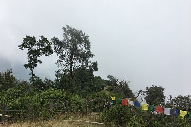 Overnight Dhampus Australian Camp Easy Hiking from Pokhara - What We Think About the Experience
