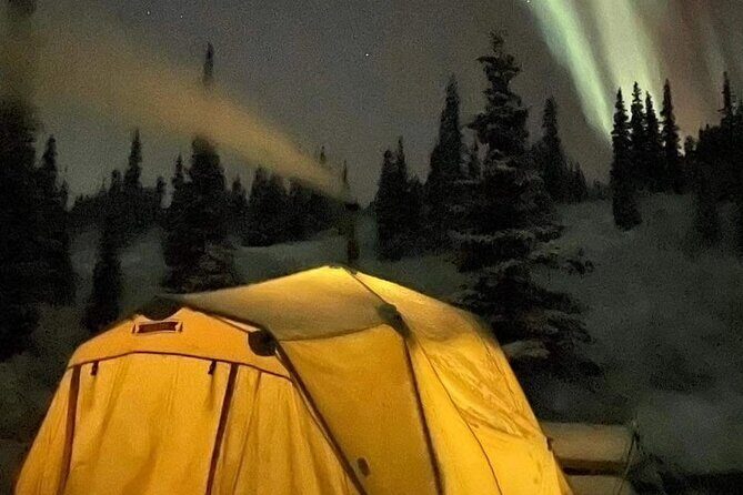 Overnight Dog Sledding Adventure - Practical Details and Tips