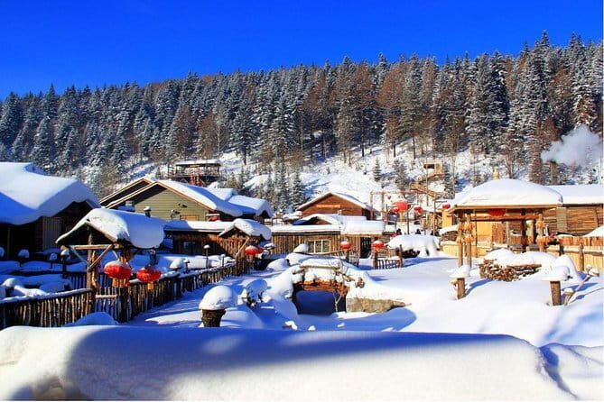Overnight Experience at China Snow Town from Harbin with Accommodation - Who This Tour Is Best For