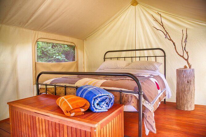Overnight Experience Tour on Kapiti Island - Final Thoughts: Is This a Good Choice?