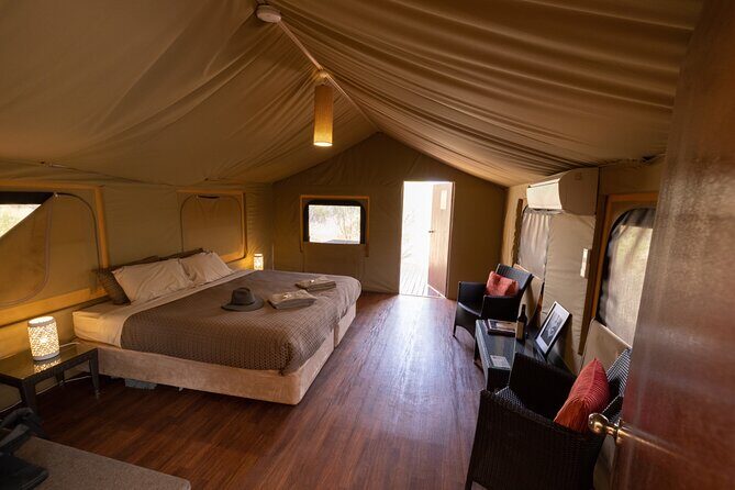 Overnight Kings Canyon Experience - Final Thoughts: Who Will Love This Tour?