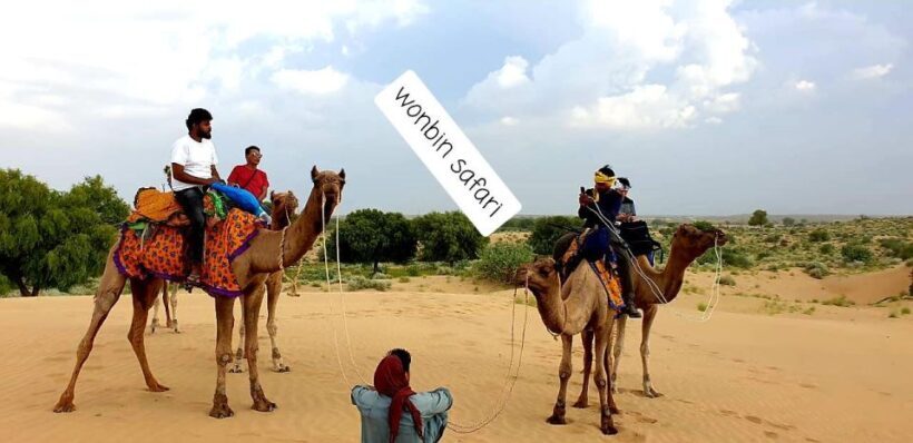 Overnight Luxury Safari by Wonbin Safari - Exploring the Itinerary: What You Can Expect