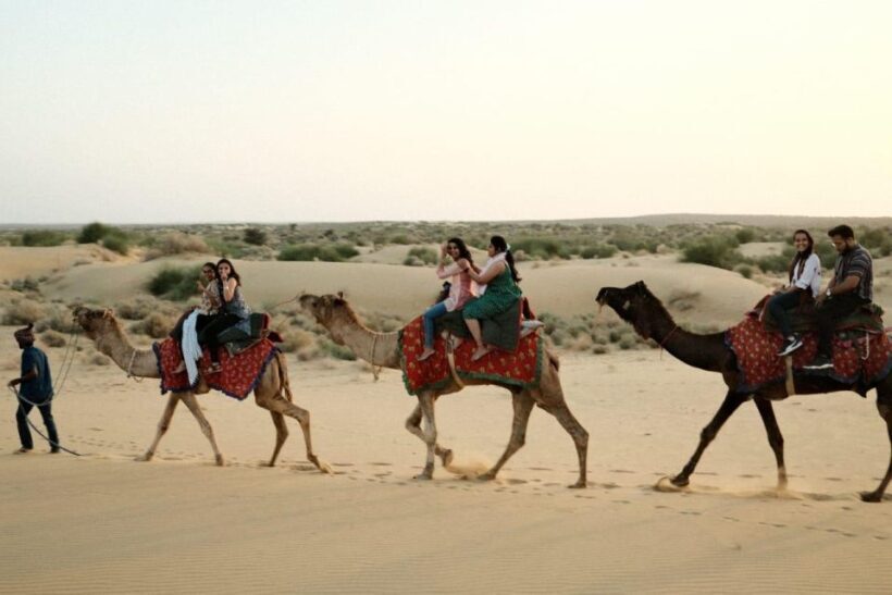 Overnight Luxury Safari by Wonbin Safari - FAQ
