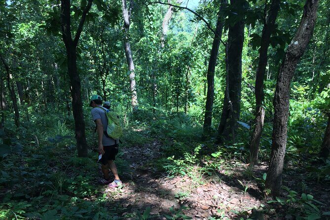 Overnight Mae Taeng highlands Trek from Chiang Mai - An In-Depth Look at the Mae Taeng Highlands Trek