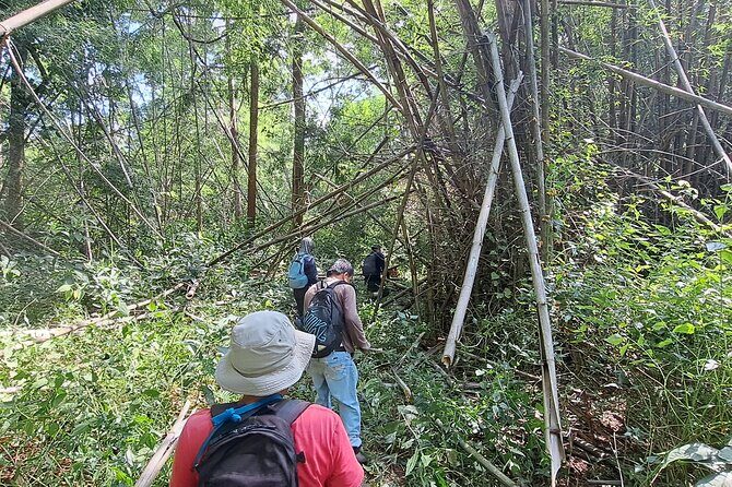 Overnight Mae Taeng highlands Trek from Chiang Mai - Who Would Love This Tour?