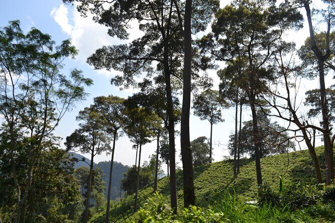 Overnight Mae Taeng highlands Trek from Chiang Mai - FAQs
