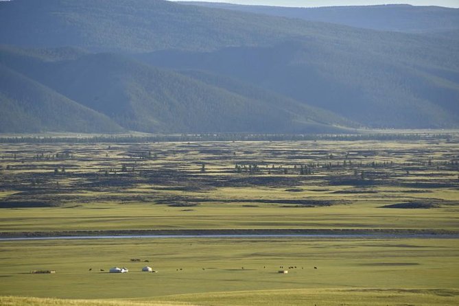 Overnight Semi-Gobi Tour with Nomadic HomeStay - What the Reviews Say