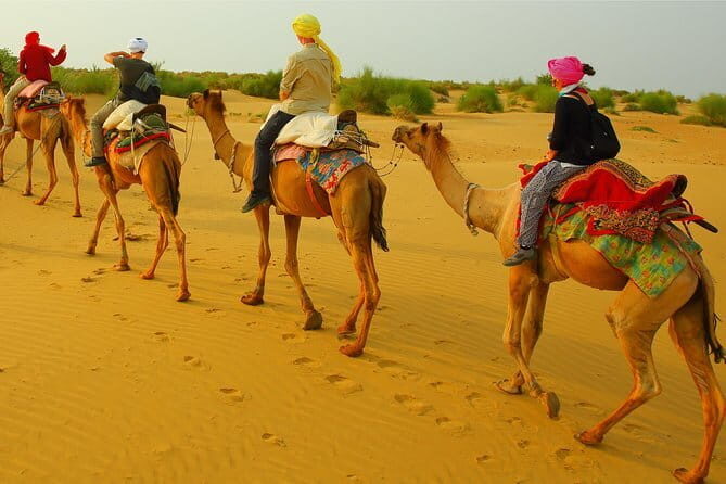 Overnight Stay In Swiss Tent With Camel Safari & Folk Dance - Final Thoughts