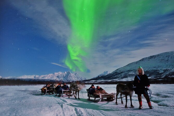Overnight Stay With Reindeer Sledding & Feeding - Northern Lights Viewing Opportunity