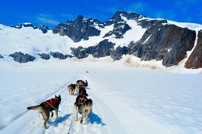 Overnight Yurt Adventure and Kayak Tour near Seward, Alaska - Key Points