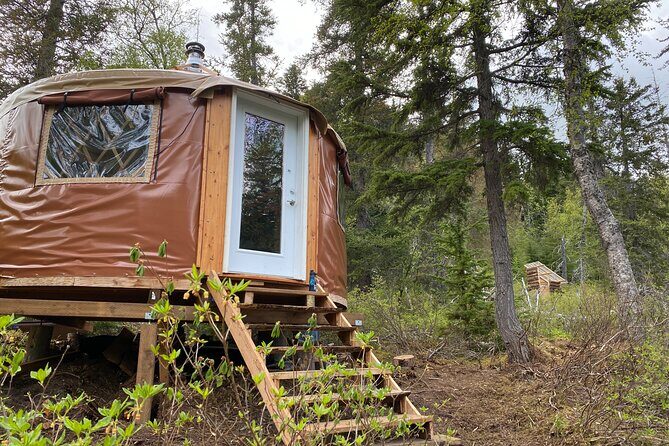 Overnight Yurt Adventure and Kayak Tour near Seward, Alaska - The Sum Up