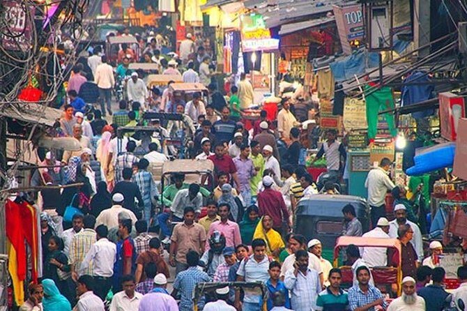 Own Sightseeing Tour in Delhi with Guide & Transport - Final Thoughts