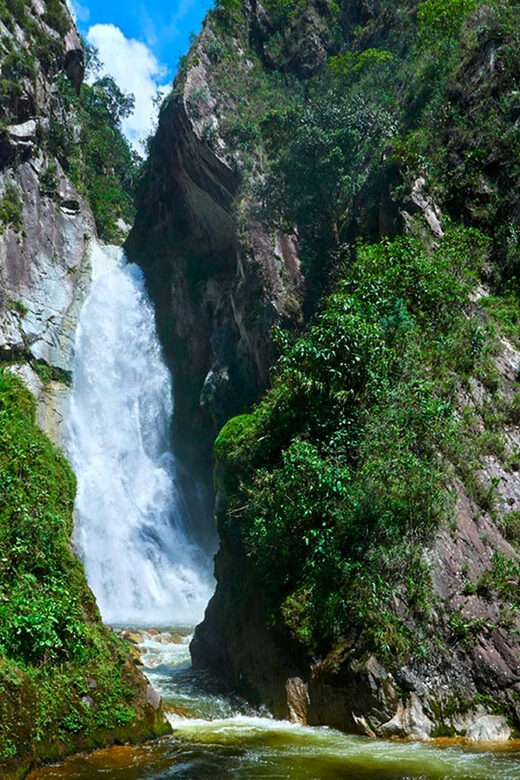 Oxapampa Highlights: Rainforest & Coffee Adventure - Key Points