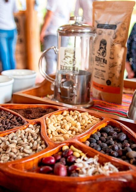 Oxapampa Highlights: Rainforest & Coffee Adventure - The Sum Up