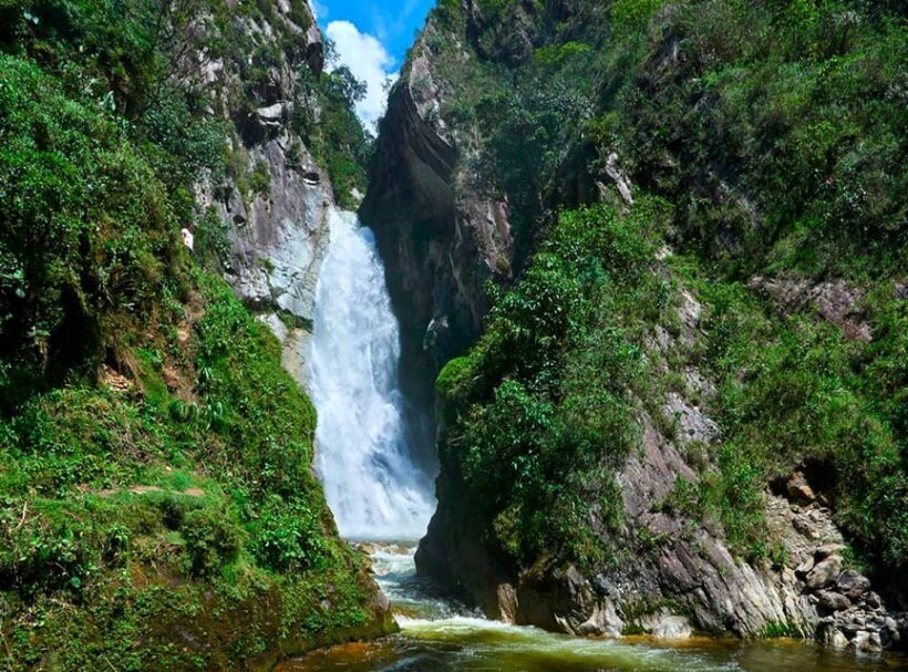 Oxapampa Highlights: Rainforest & Coffee Adventure - FAQ