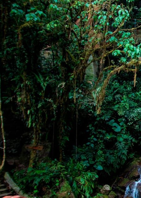 Oxapampa : Tigre River Waterfall and Jungle Secret - Frequently Asked Questions