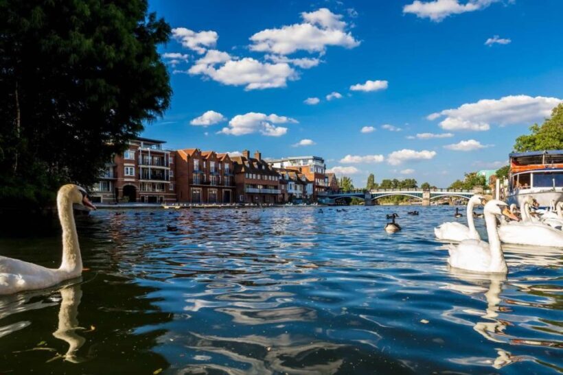 Oxford, Blenheim Palace & Bicester Village: Luxury Day Tour" - Key Points