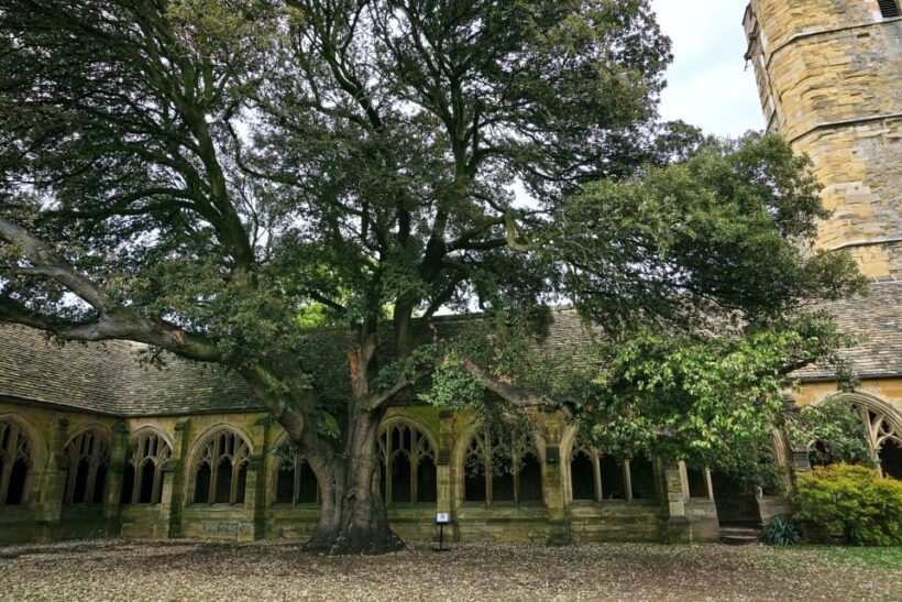 Oxford: Harry Potter Film Tour Led by University Alumni - Who Will Love This Tour?