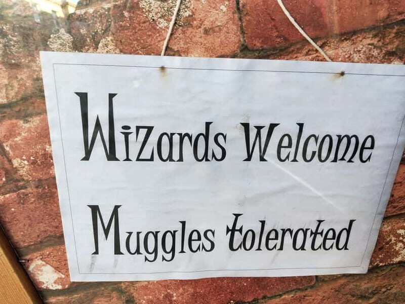 Oxford: Harry Potter Tour with New College & Divinity School - Who Should Book This Tour?