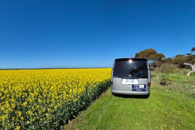 Oyster Adventure in Coffin Bay (Coffin Bay Pick Up) - The Experience in Detail