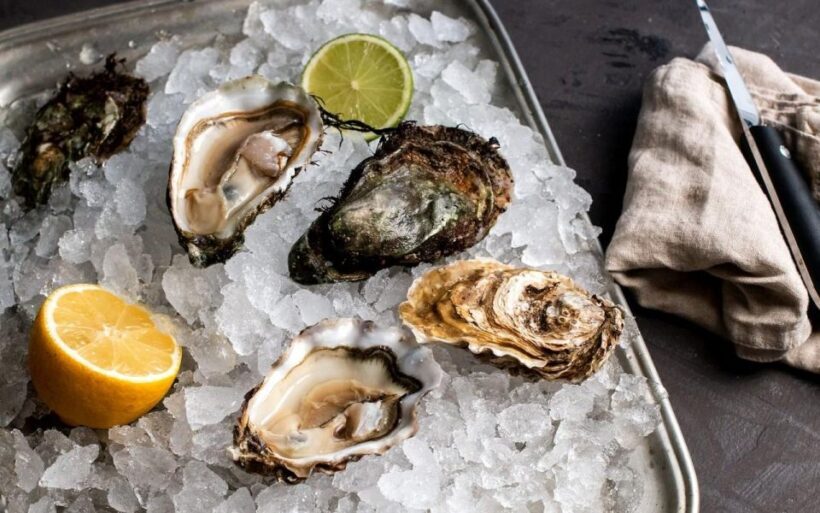 Oyster day in Mali Ston - Who Would Enjoy It Most?